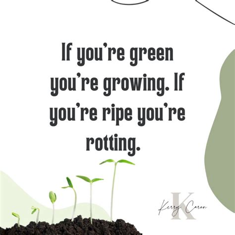 Kerry Caron On Linkedin Growthmindset Publicspeaking Careergrowth Comfortzone Successjourney