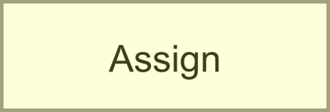 Flowgorithm Documentation Assign