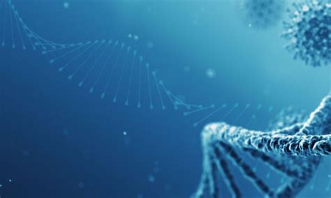 Novel Artificial Intelligence Algorithm An Accurate And Independent