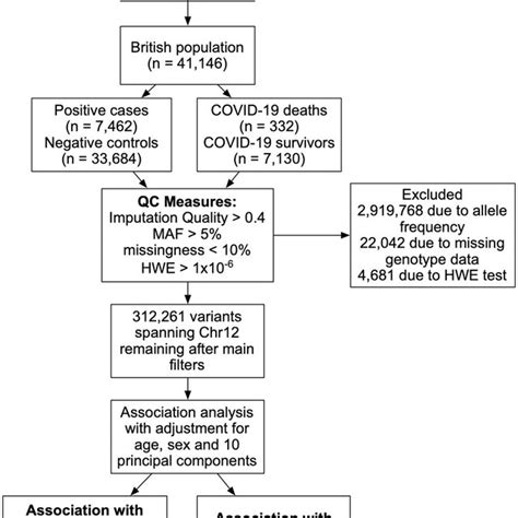 Flowchart Of The Analysis Pipeline Orai1 Variants Associations With Download Scientific