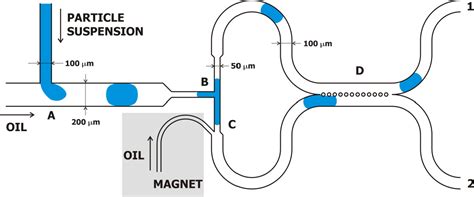Figure 1 From Magnetic Microparticle Based Dna Extraction In A Droplet Microfluidic Chip