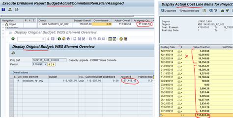 Salr87013558 And Cj31 Assigned Values Not Matching Sap Community
