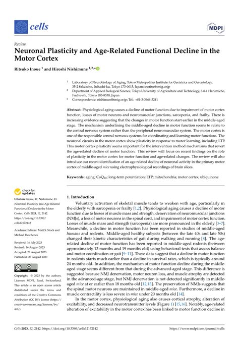 Pdf Neuronal Plasticity And Age Related Functional Decline In The