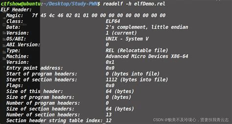 Elf文件结构 Csdn博客