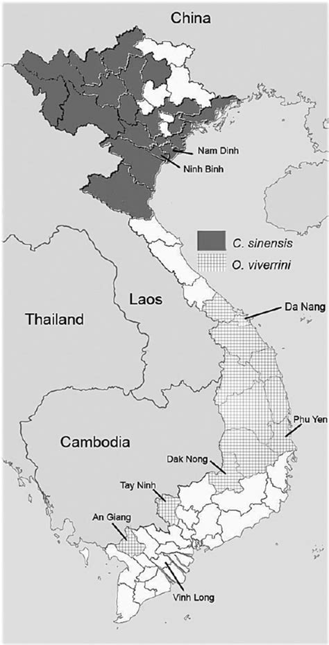 A Map Showing The Distribution Of Clonorchis Sinensis And Opisthorchis Download Scientific