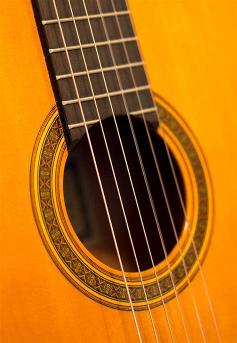 Images Gratuites La Musique Guitare Acoustique B Et équipement Guitare électrique