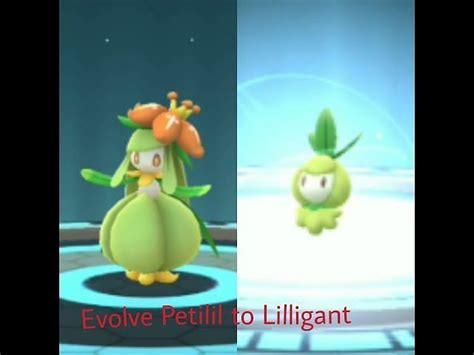 How To Evolve Petilil Into Lilligant In Pokemon Go November 2022