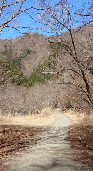 ハンサムネコ日記 極寒の丹沢