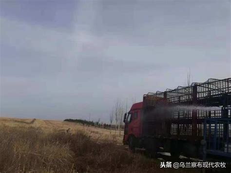 集寧區農牧業局多措並舉加強生豬及其產品監管 每日頭條