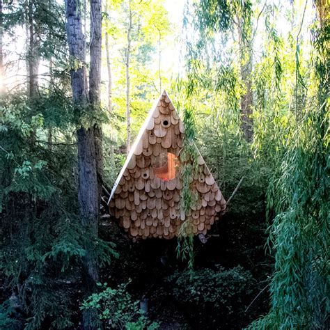 Birds And Humans Share Wooden Treehouse In Canada By Studio North
