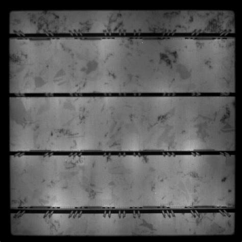 Pvelad Object Detection Dataset And Pre Trained Model By Tez