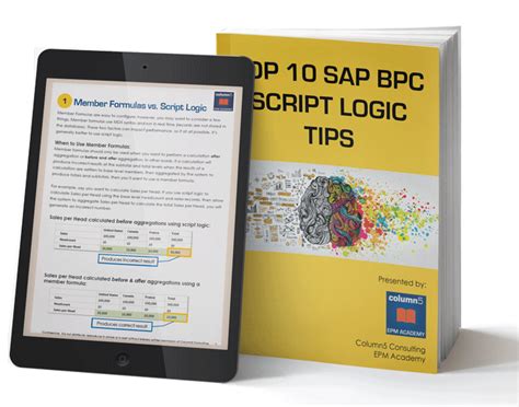 Top 10 Sap Bpc Script Logic Tips Ebook By Column5