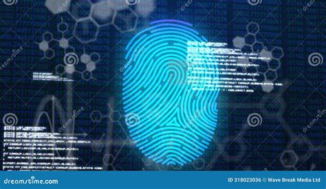 A Blue Fingerprint Overlaying Digital Data Symbolizing Cybersecurity