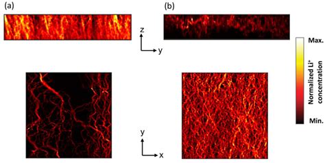 Simulated Li þ Ion Diffusion Flux In The Y Z And X Y Directions For The