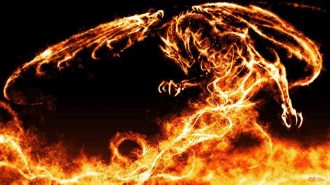 Dragon Wallpaper Hd ·① Download Free High Resolution Backgrounds For