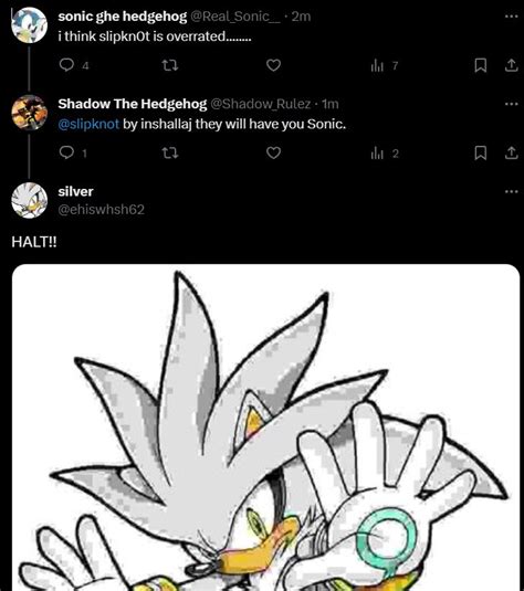 Sonic Items Silver The Hedgehog Funny Silver The Hedgehog Quote