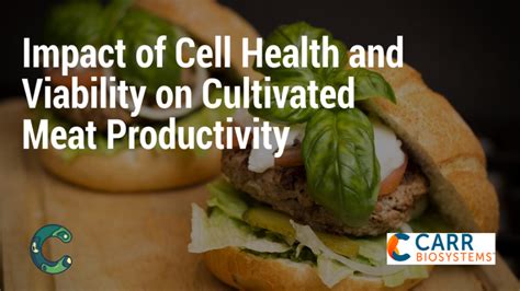 Impact Of Cell Health And Viability On Cultivated Meat Productivity