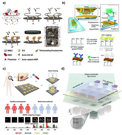 Integrated Microfluidic Systems For Isolation And Analysis Of Exosomes
