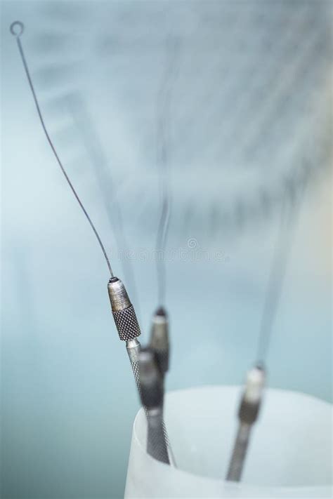 The Inoculating Loop Stock Image Image Of Biological 158135695