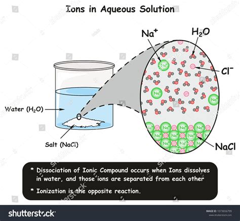 Ions In Aqueous Solution Infographic Diagram Showing Dissociation Reaction Of Sodium Chloride