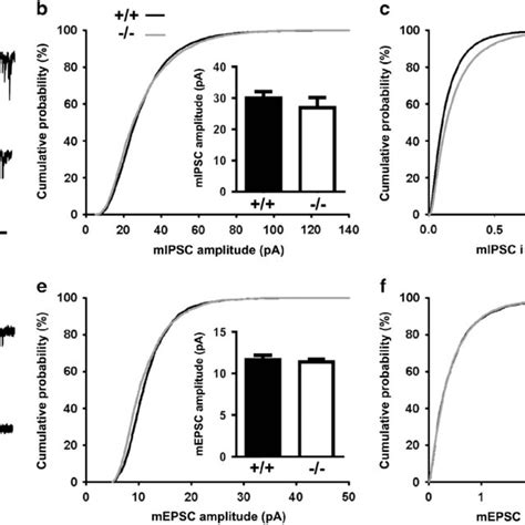 Inhibitory Synaptic Transmission Is Reduced In Ca1 Pyramidal Neurons Of Download Scientific