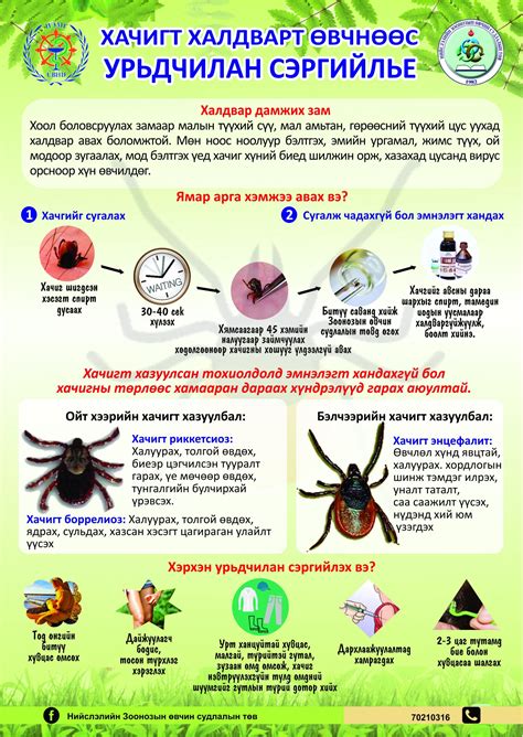 Хачигт халдварт өвчнөөс урьдчилан сэргийлье