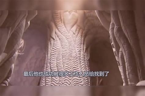 男子隐居山洞20年，被找到后坚决不离开，看到内部结构我就懂了山洞离开男子