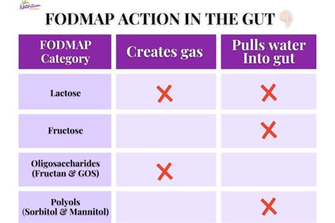 Fodmap Reintroduction Phase Chart Complete Guide With Food List And Pdf