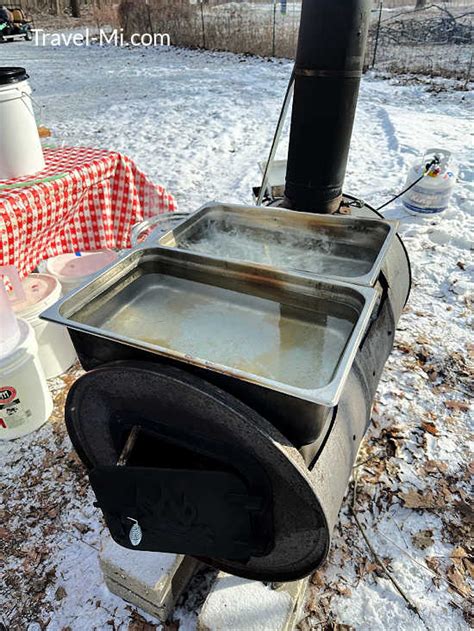 How To Tap A Maple Tree For Syrup Demonstration Video And Helpful Tips