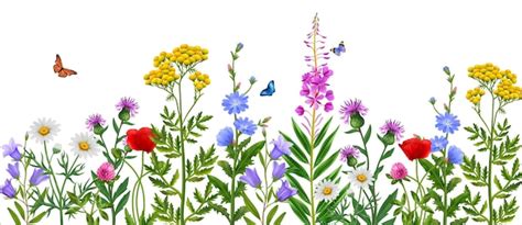Clipart Fleurs Sauvages Vecteurs Téléchargez Gratuitement Des