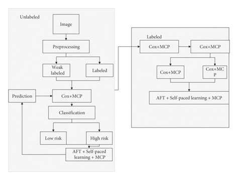 Computational Flow Of Neural Network Of Multilayer Perceptron Genetic Download Scientific