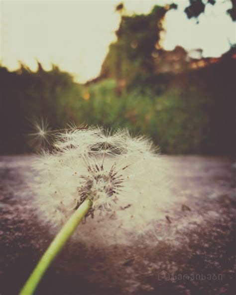 მოსწავლეების მომზადება