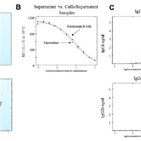 Multiplexing Hybridoma Cells Does Not Impact Assay Antibody