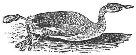 How To Safely Pass Data To Javascript In A Django Template Alireza G