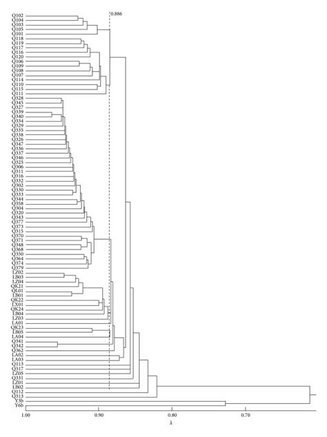 Trend Fuzzy Cluster Analysis Diagram For Samples Of Terracotta Warriors