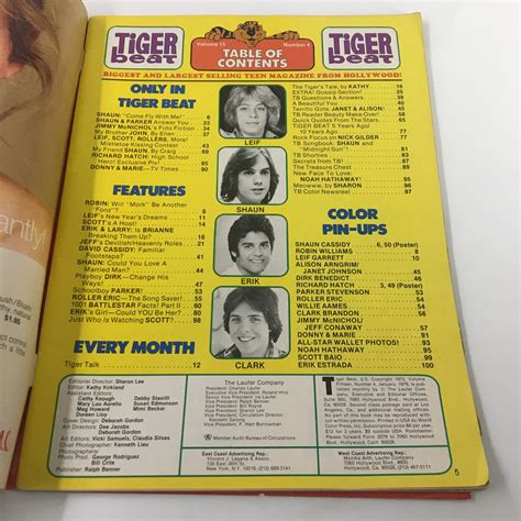Vintage Tiger Beat Magazine January 1979 Richard Hatch And Shaun Cassi