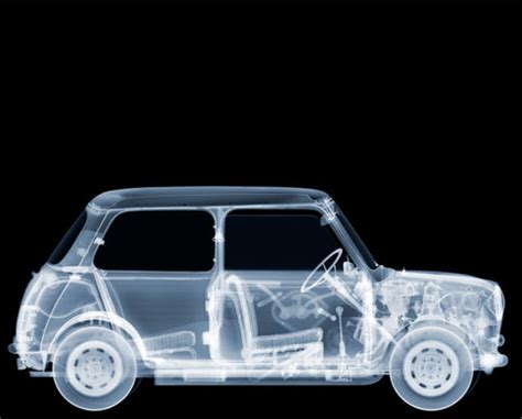 Amazing X Ray Artwork Pics Izismile Com