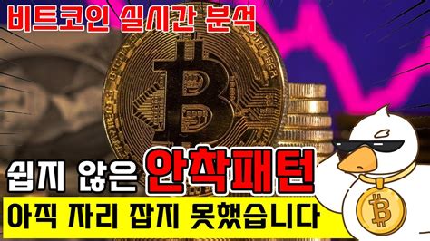 비트코인 실시간 방송 아직 자리 덜 잡았습니다 Youtube