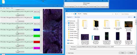 Multiplex Composite But Only Channels RGB Showing On QuPath Bio Formats Extension Not