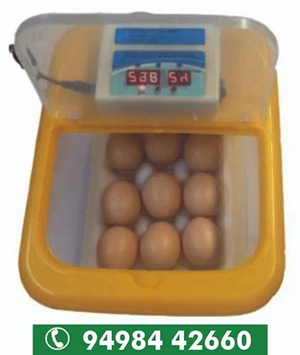 Egg Testing Testersvt001119 At ₹ 115000 Tensile Testing Equipment In Coimbatore Id