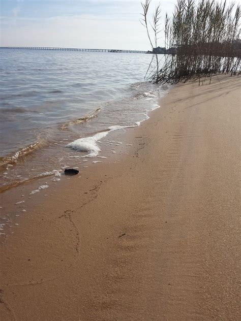 9 Best Beach Cusp Images On Pinterest Larger Store And Wave