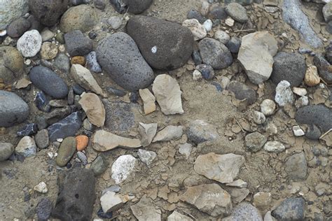 BRANCHING Script Experiment