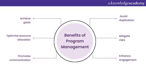 What Is Program Management Explained In Detail