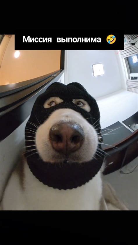 СмехоДур Отмечай кореша 🤣 Funny Funnyvideo Lol Popular лол жарт приколыдослёз