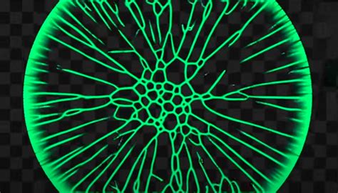 The Best Of Webgpu In January 2025