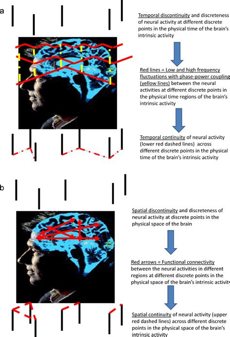 Figure 1 From Neuroscience And Biobehavioral Reviews Commentary What
