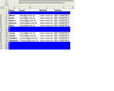Techniker Schule Butzbach EDV Microsoft Excel Gruppieren Fixieren Filtern Projektwiki Ein
