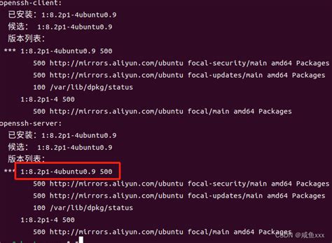 ubuntu安装openssh server出现失败 ubuntu24 04 安装openssh失败 csdn博客