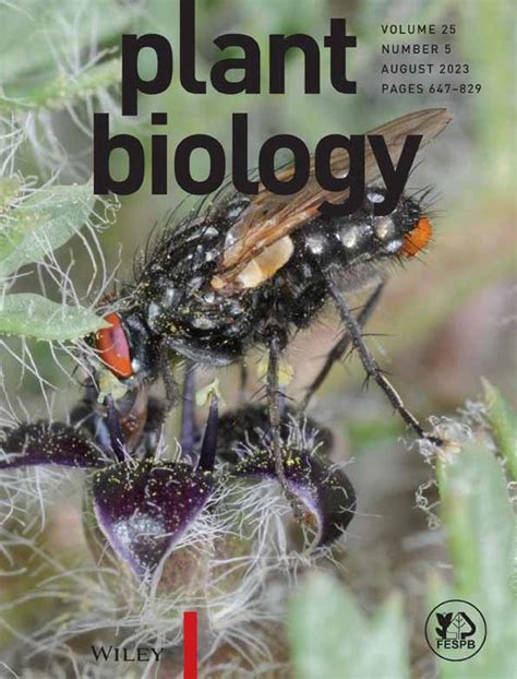 24‐epibrassinolide Alleviates Drought Effects In Young Carapa Guianensis Plants Improving The
