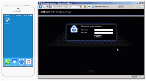 Citrix Netscaler Logintc